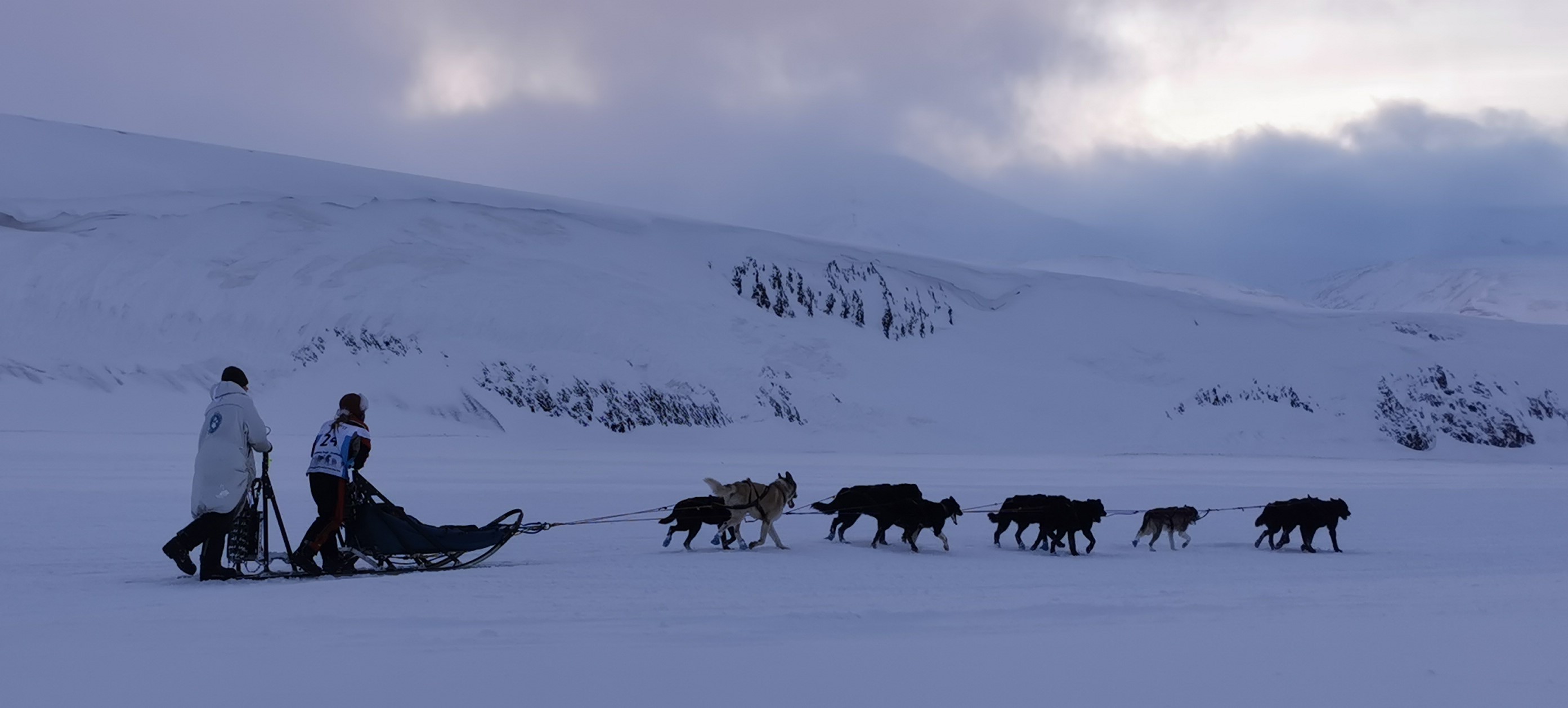 Dog Sled Side View