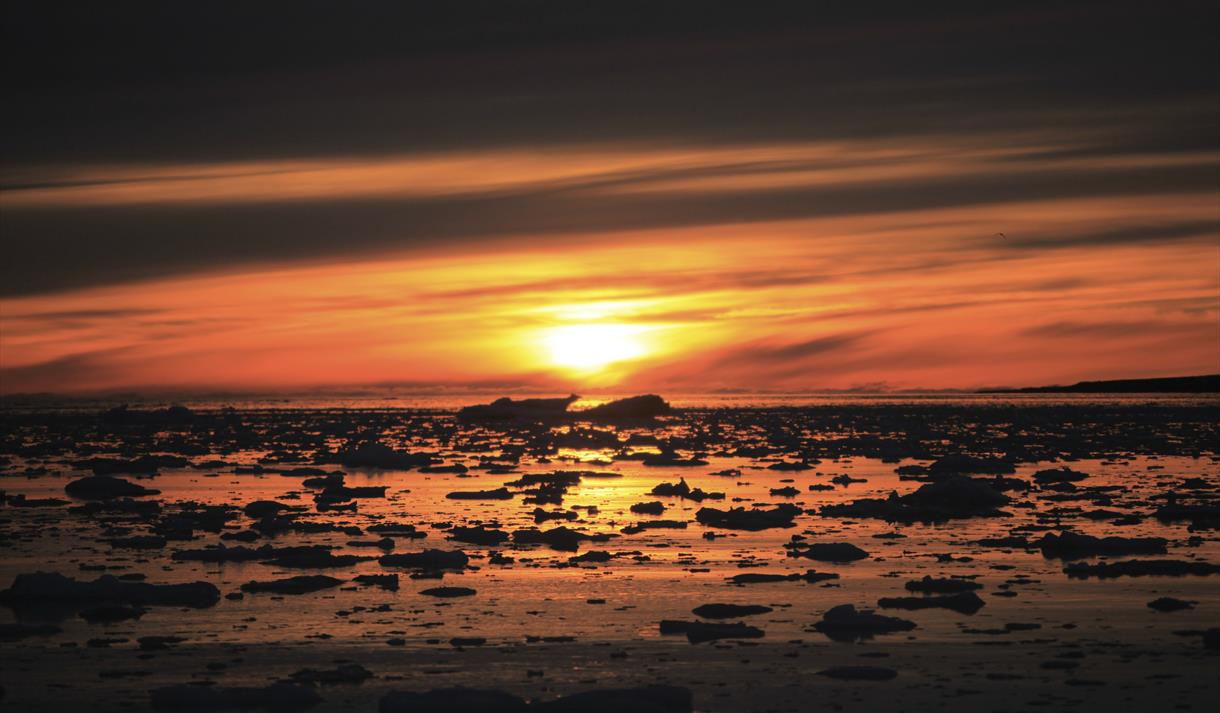 Catching the light - Midnight sun - Better Moments - Snowmobile in ...